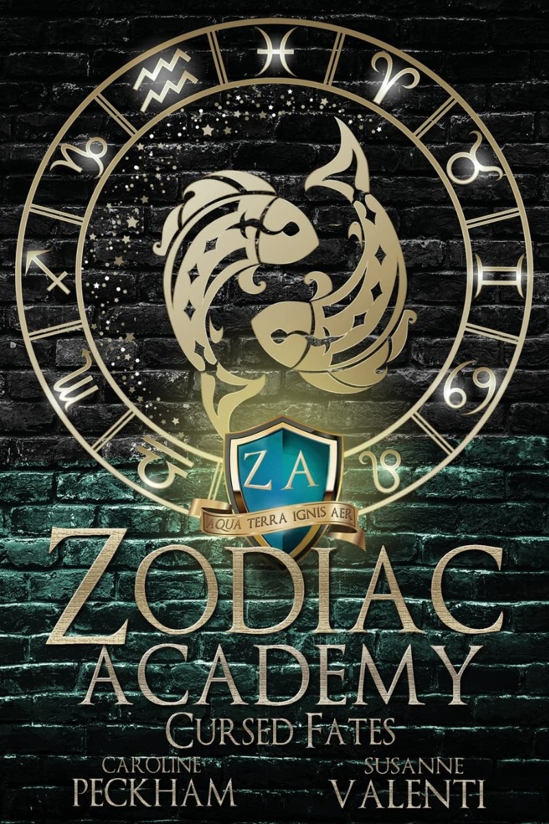【Zodiac Academy - Shadow Princess - Book 4】Dark Ink Publishing • Цена ...